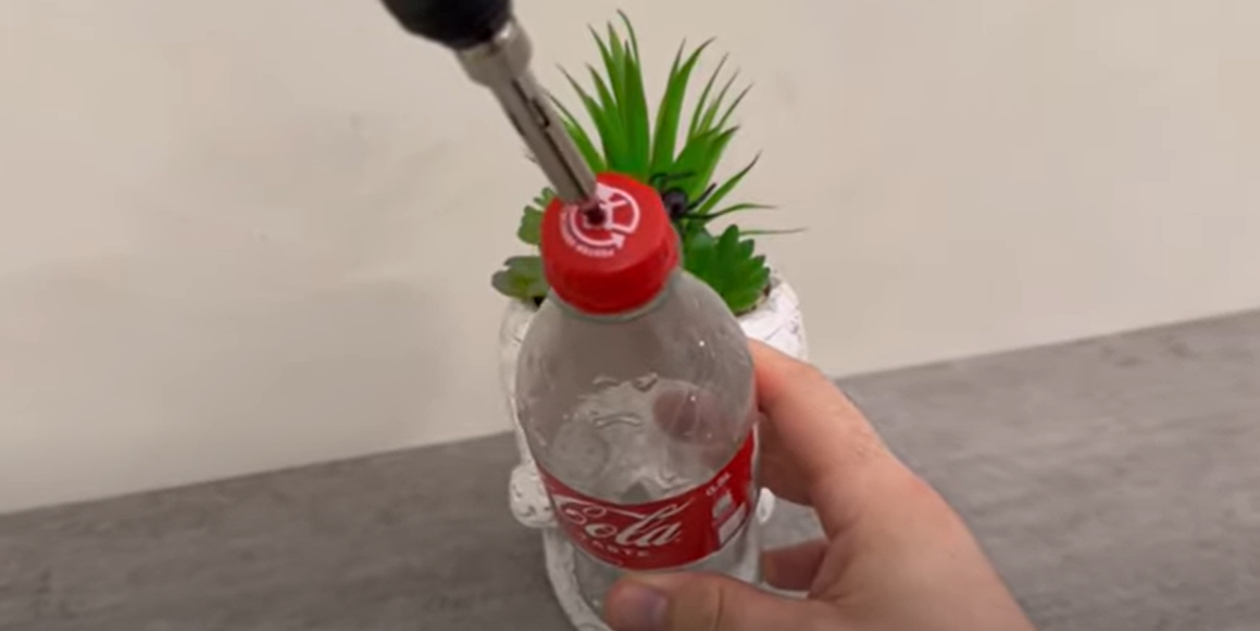 Bland cola og æggeskaller: Vent så til du ser magien ske